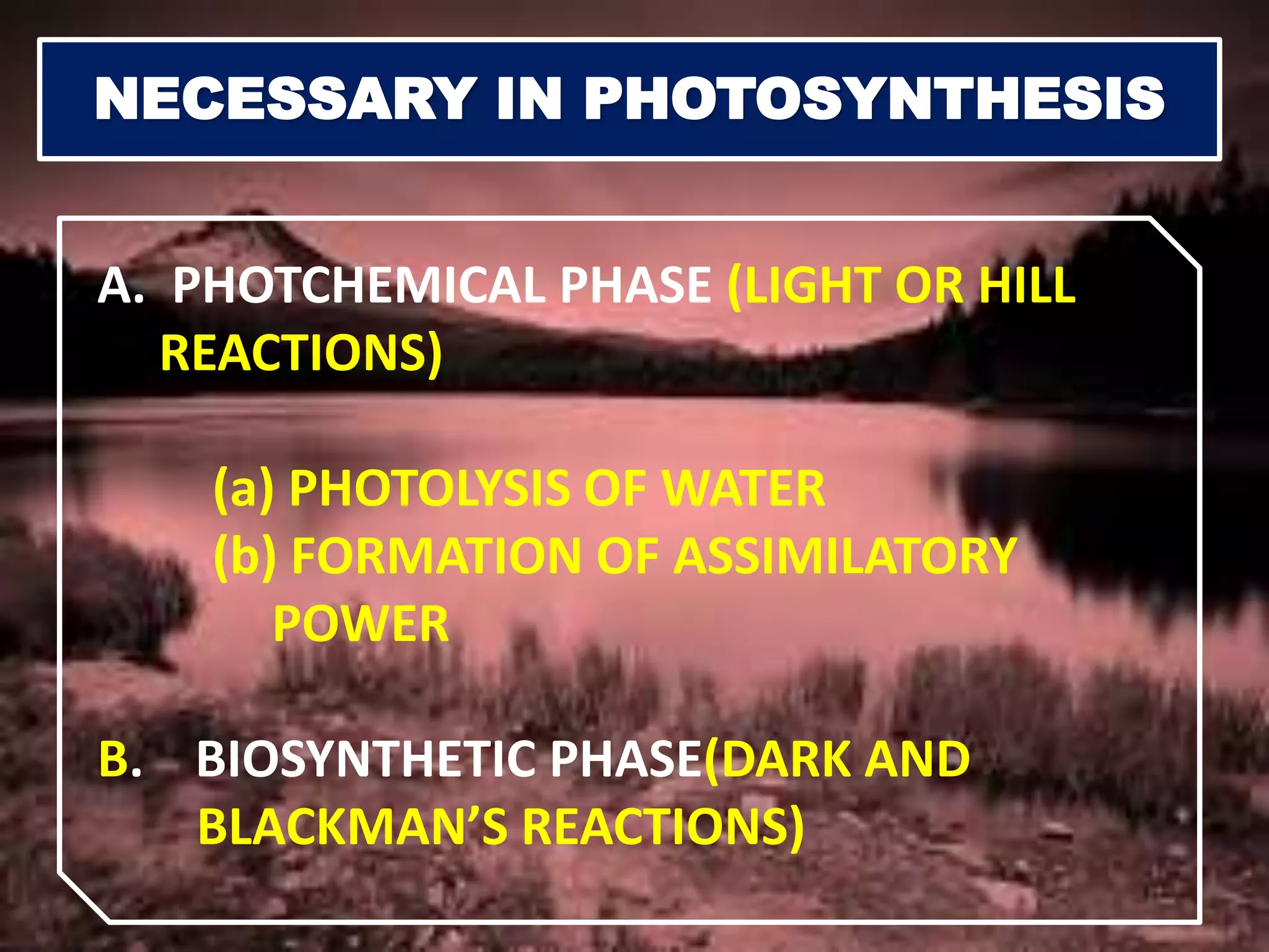 photosynthesis basics study for class 10th | PPTX