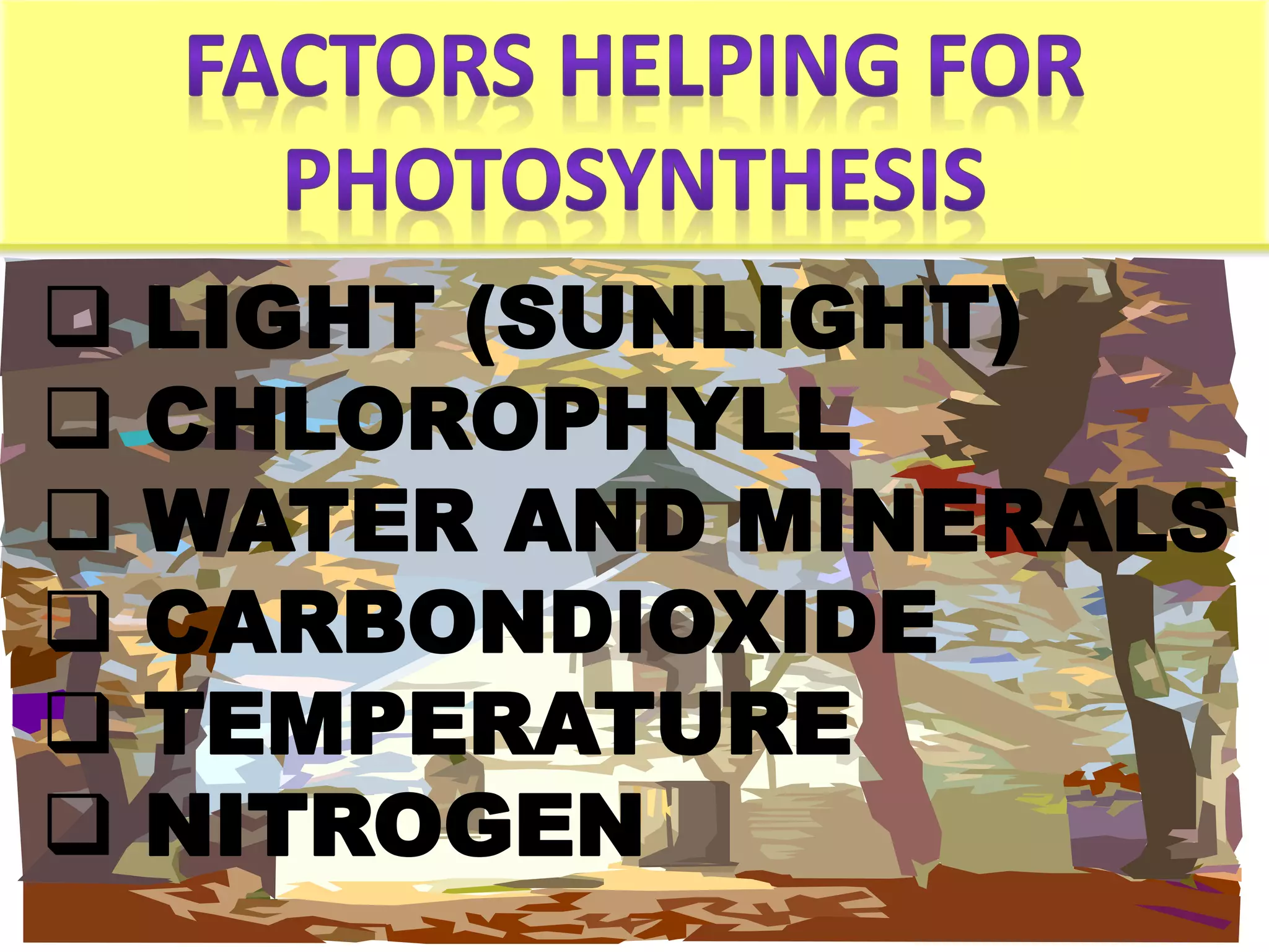photosynthesis basics study for class 10th | PPTX