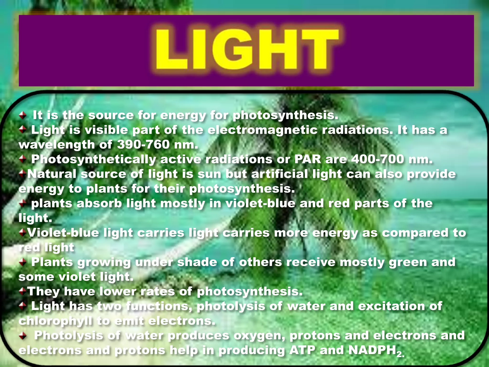 photosynthesis basics study for class 10th | PPTX