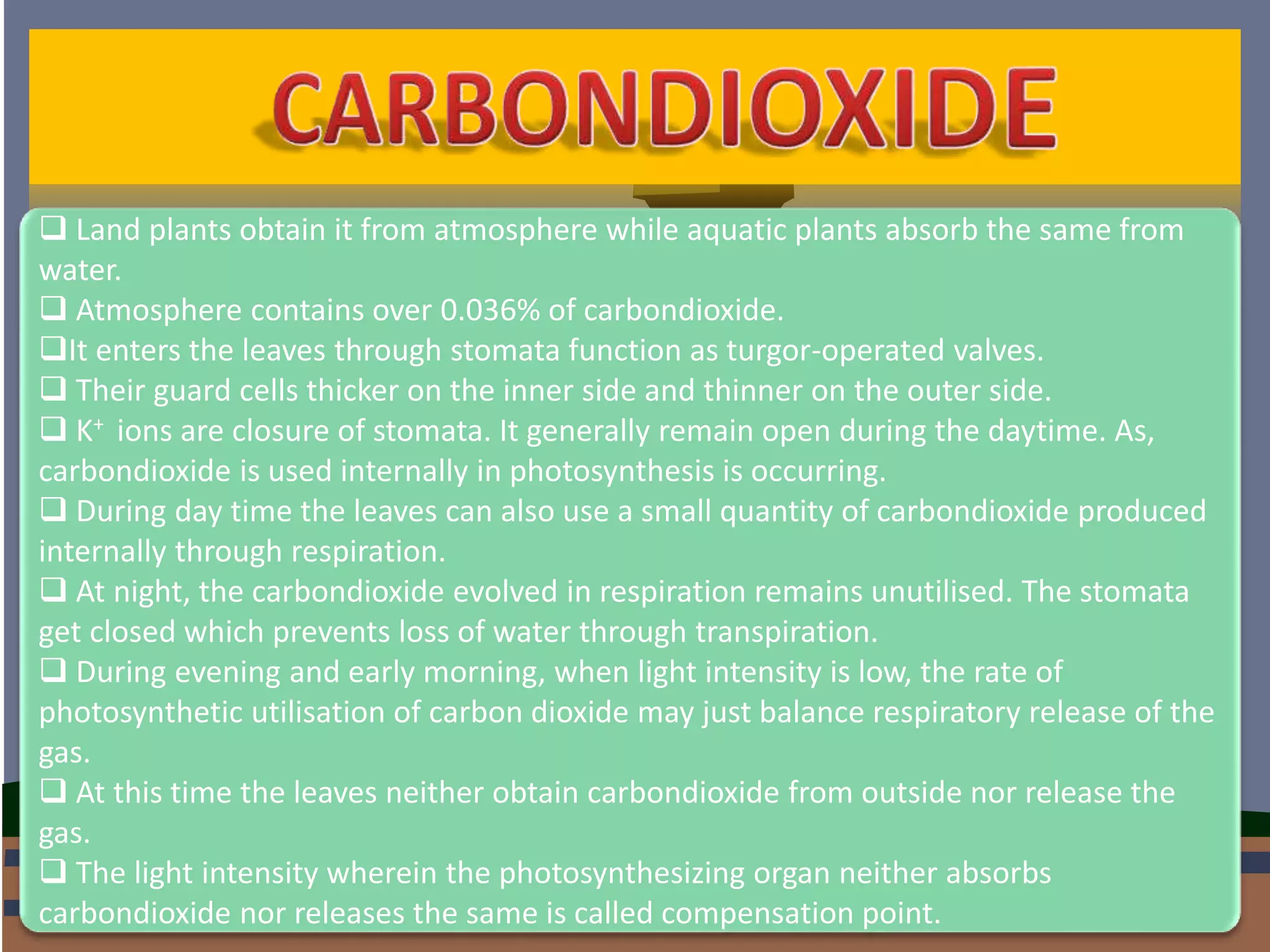 photosynthesis basics study for class 10th | PPTX