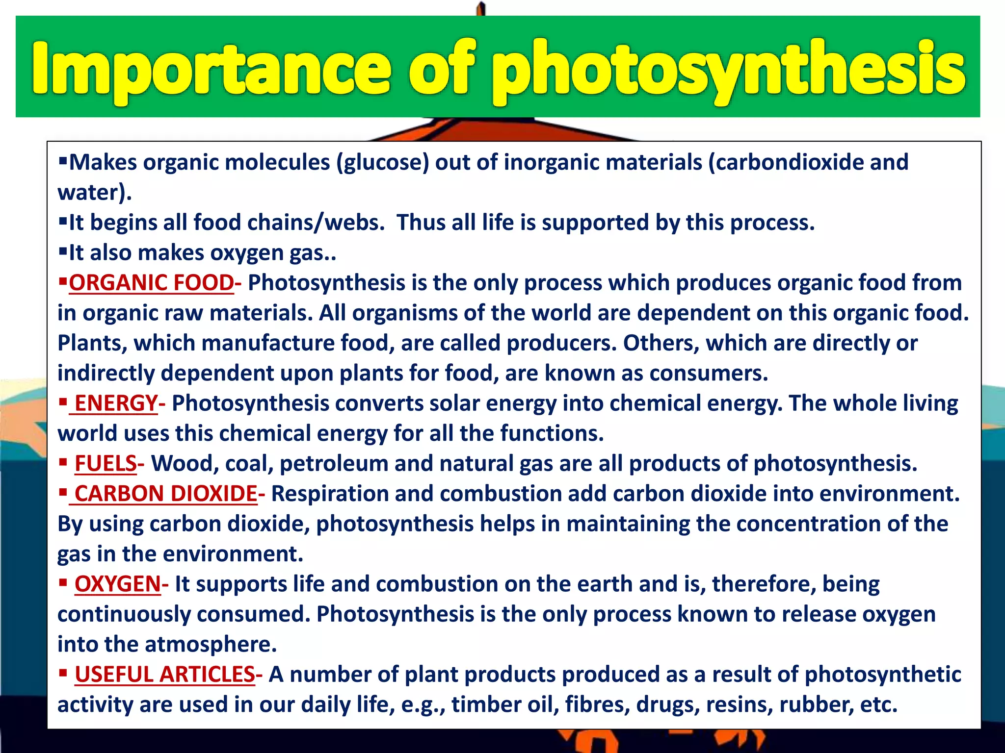 photosynthesis basics study for class 10th | PPTX