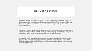 PPT SCABIES KUDIS presentasi smk kesehatan | PPTX