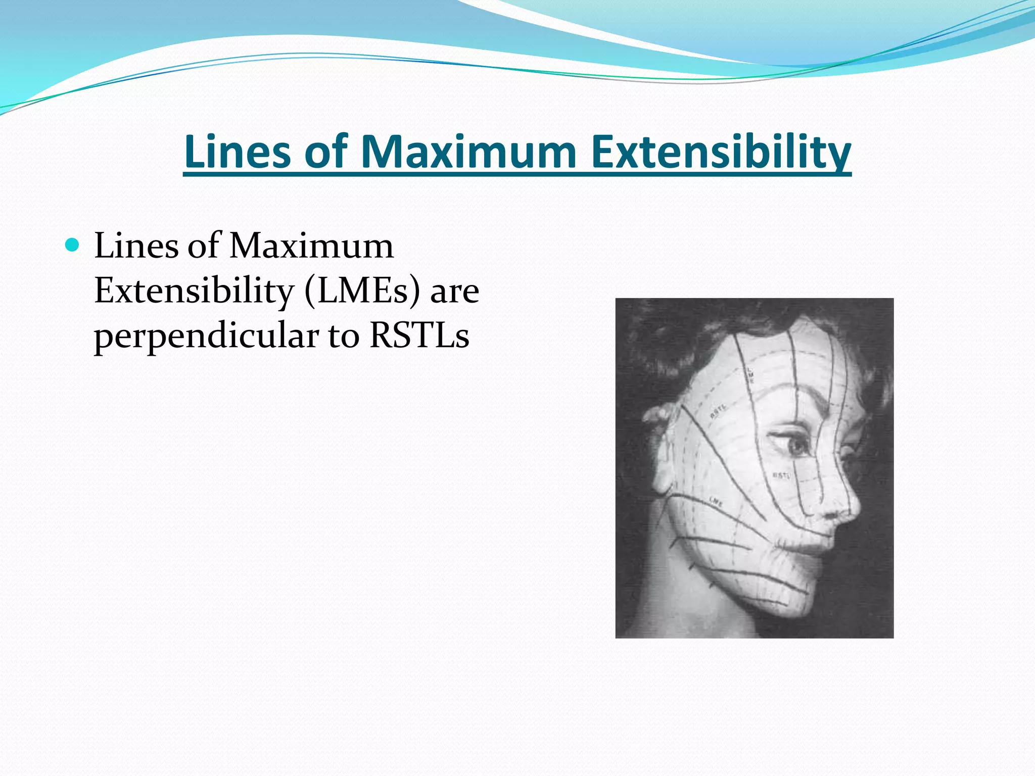 Ppt Scar Pptx