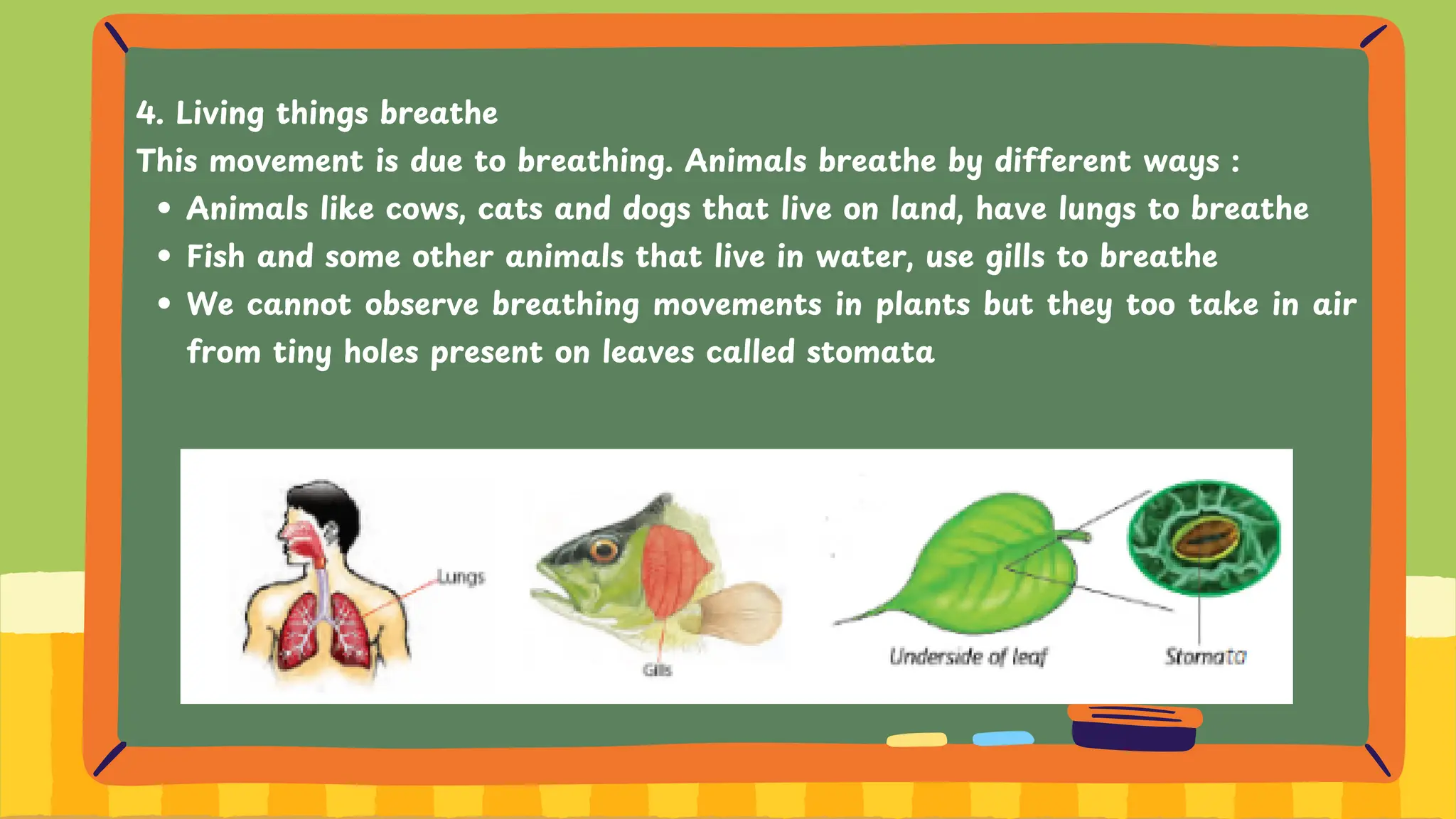 PPT Living things and their characteristics | PDF