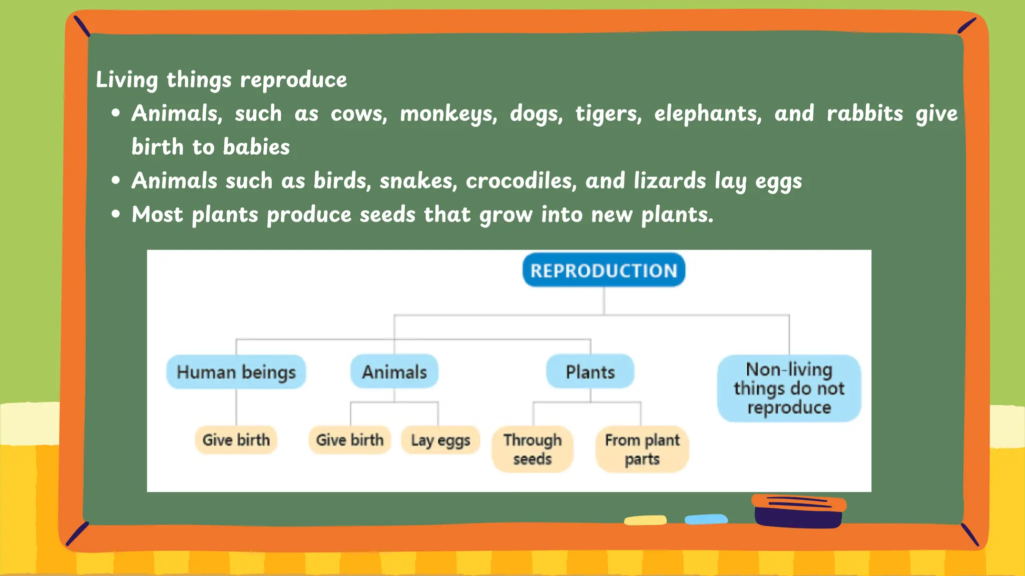 PPT Living things and their characteristics | PDF