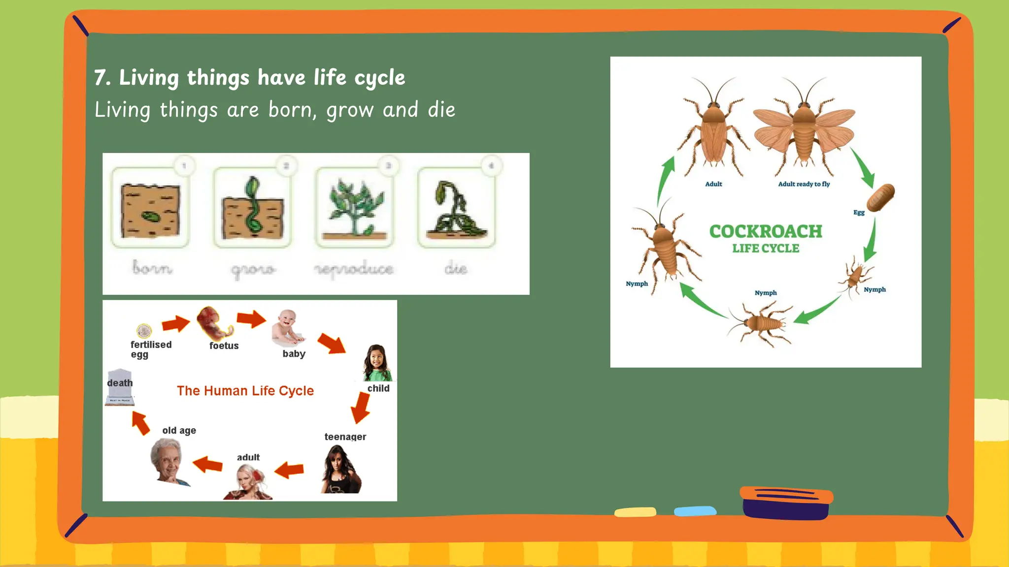 PPT Living things and their characteristics | PDF
