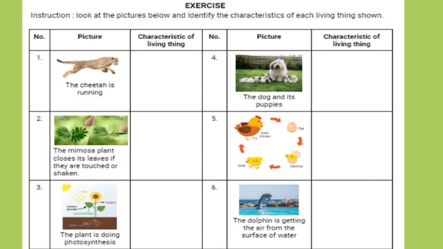 PPT Living things and their characteristics | PPT