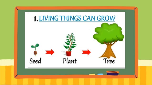 PPT Living things and their characteristics | PPT