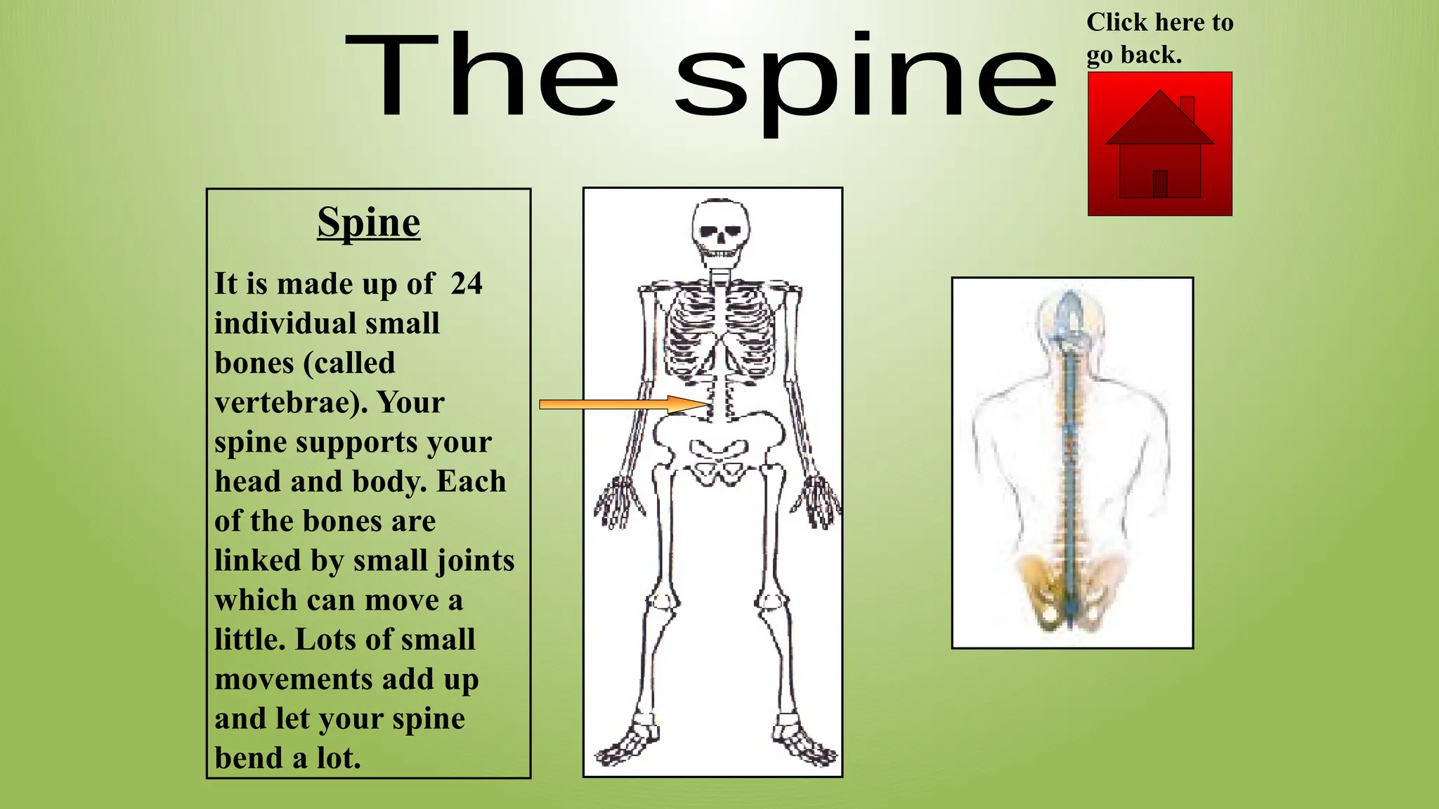 Science Powerpoint in Grade 6 for Reclass | PPTX