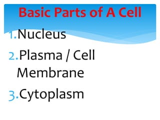 ppt science observation plant and animal cell final.pptx