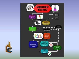 Ppt scientific method | PPTX