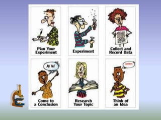 Ppt scientific method | PPTX