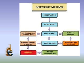 Ppt scientific method | PPTX