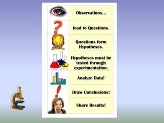 Ppt scientific method | PPTX