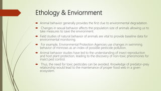 ppt scope of animal behavior.pptx