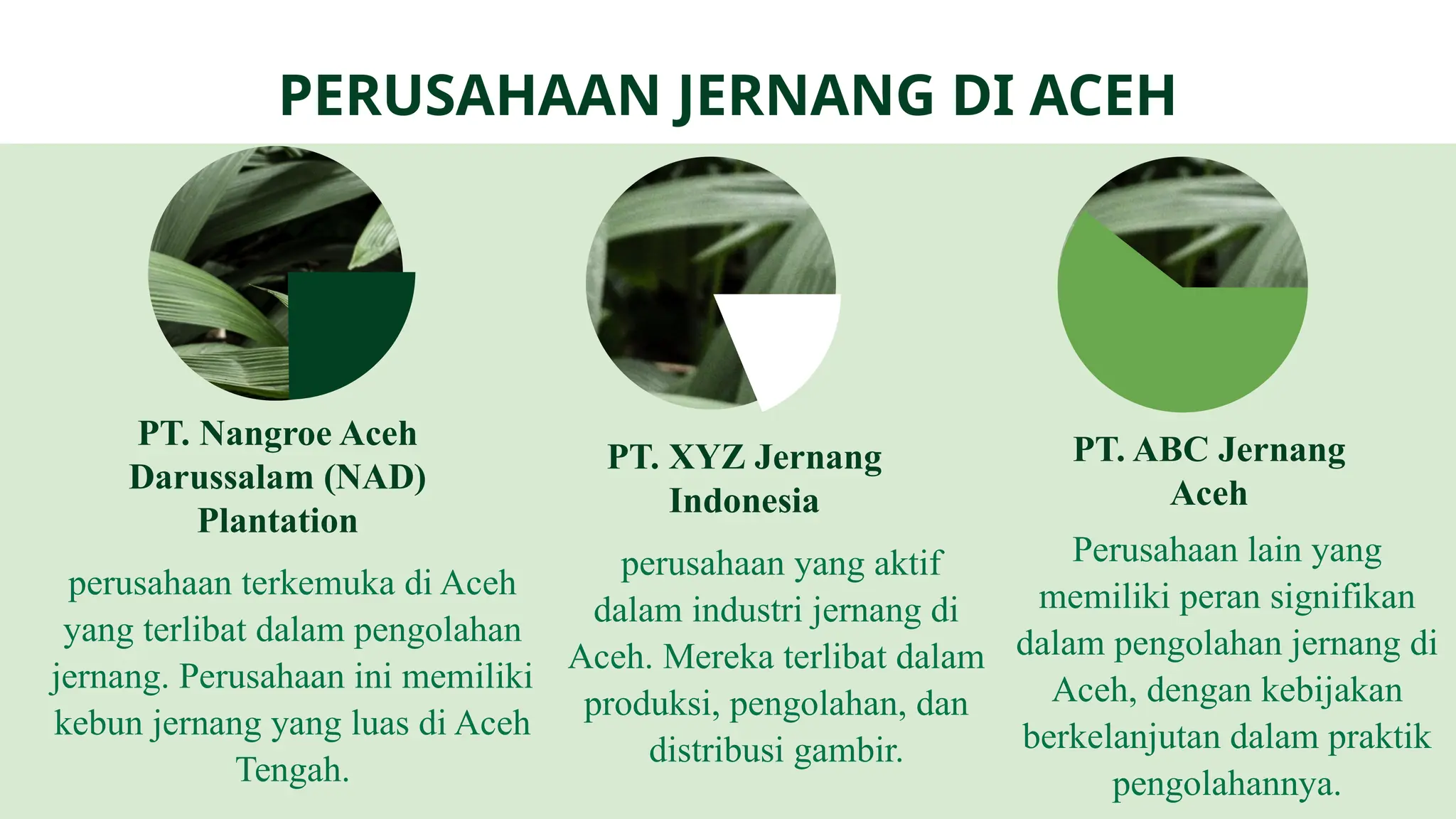 PPT SDA jernang indonesia atau dragon blood special in aceh.pptx