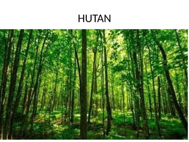 Powerpoint potensi Sumber daya alam.pptx