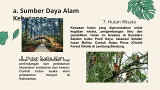 pengertian dan klasifikasi sumber daya alam indonesia.pptx