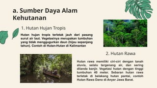 pengertian dan klasifikasi sumber daya alam indonesia.pptx