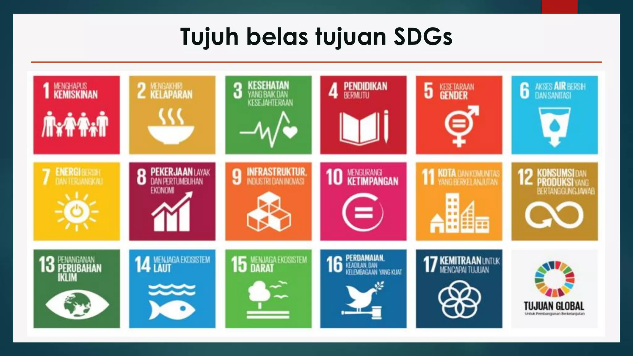 PPT SDGs .pdf