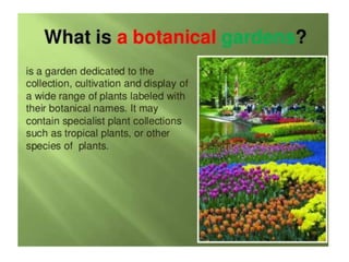 Binominal Nomenclature, Botanical Garden, Harbarium | PPT