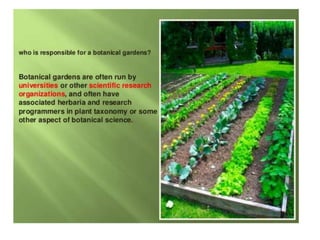 Binominal Nomenclature, Botanical Garden, Harbarium | PPT