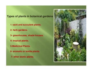 Binominal Nomenclature, Botanical Garden, Harbarium | PPT