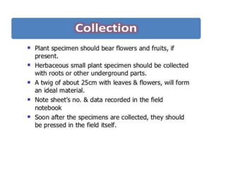 Binominal Nomenclature, Botanical Garden, Harbarium | PPT