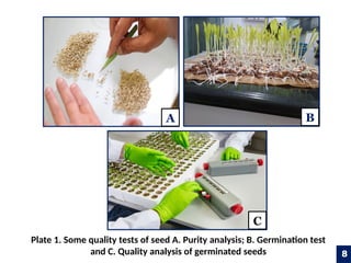 QUALITY ASSURANCE OF SEEDS IN BANGLADESH: A COMPARISON BETWEEN PUBLIC ...