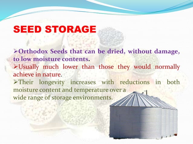 seed storage | PPTX | Agriculture | Industries