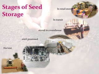 seed storage | PPTX