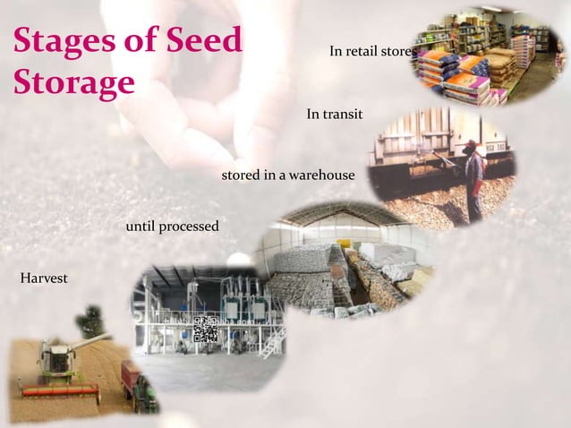 seed storage | PPTX | Agriculture | Industries
