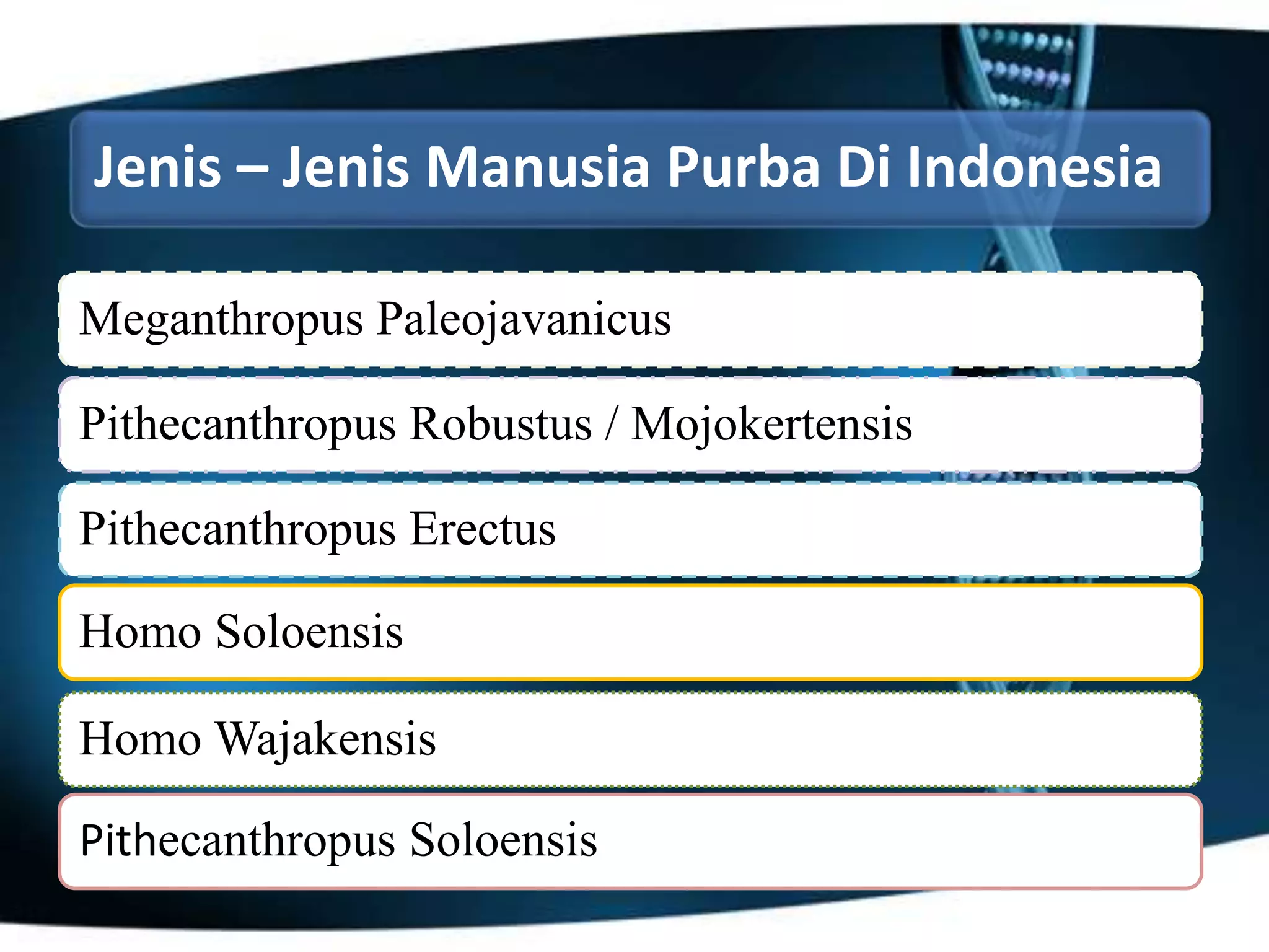 SEJARAH "Jenis-Jenis Manusia Purba di Indonesia" | PPTX