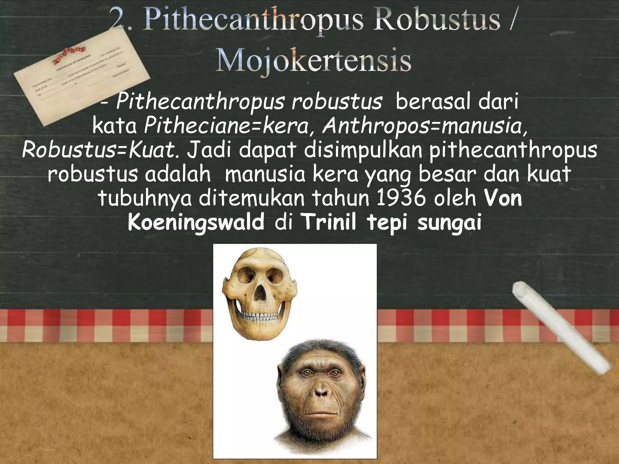 SEJARAH "Jenis-Jenis Manusia Purba di Indonesia" | PPTX