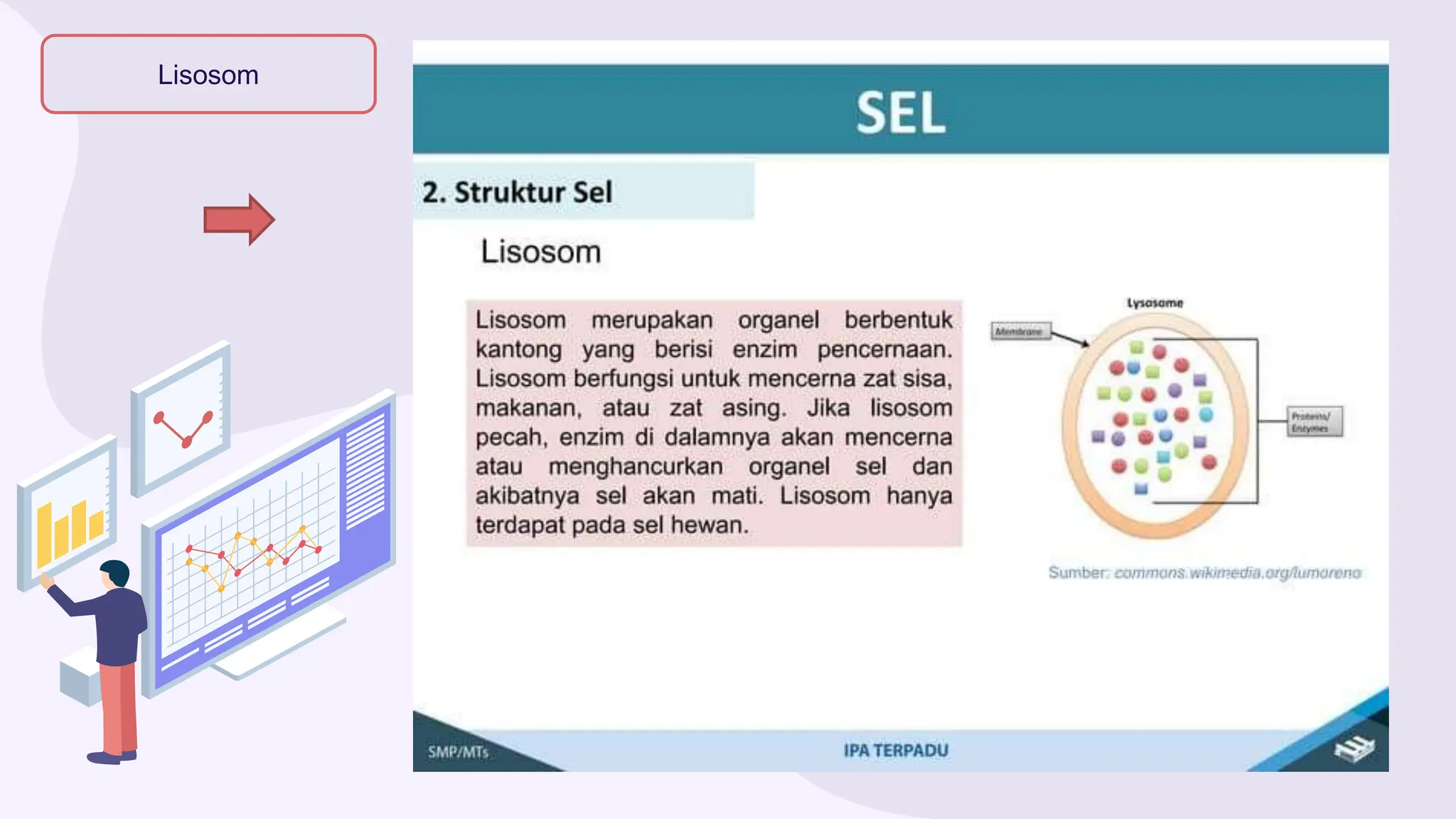 PPT SEL HEWAN DAN HEWAN TUMBUHAN SCIENCE .pptx