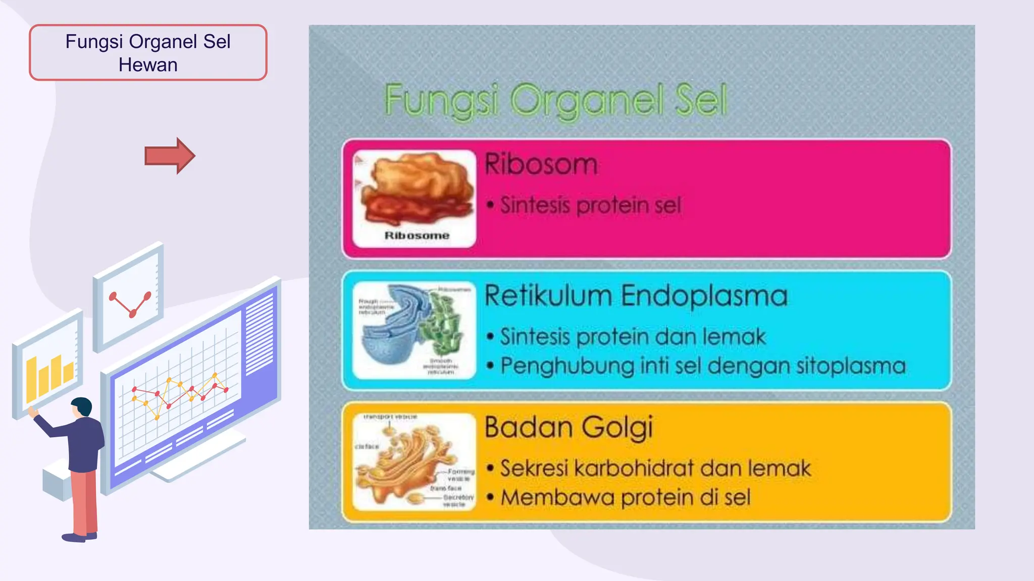 PPT SEL HEWAN DAN HEWAN TUMBUHAN SCIENCE .pptx