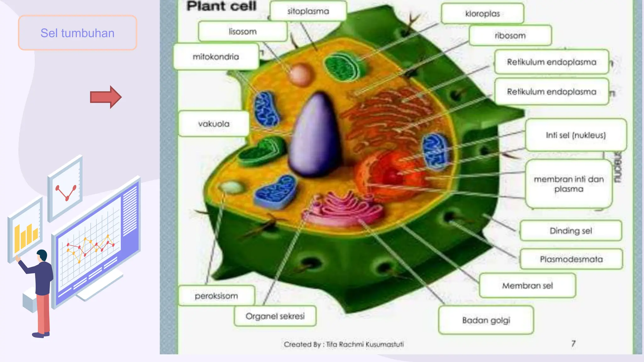 PPT SEL HEWAN DAN HEWAN TUMBUHAN SCIENCE .pptx