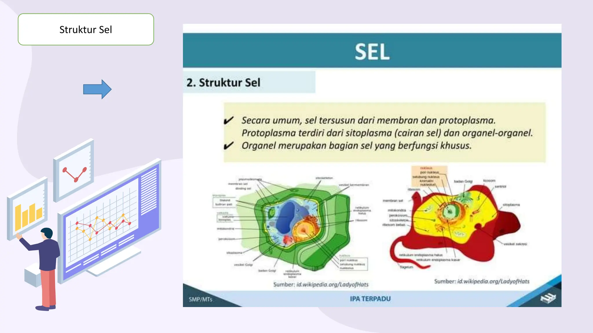 PPT SEL HEWAN DAN HEWAN TUMBUHAN SCIENCE .pptx