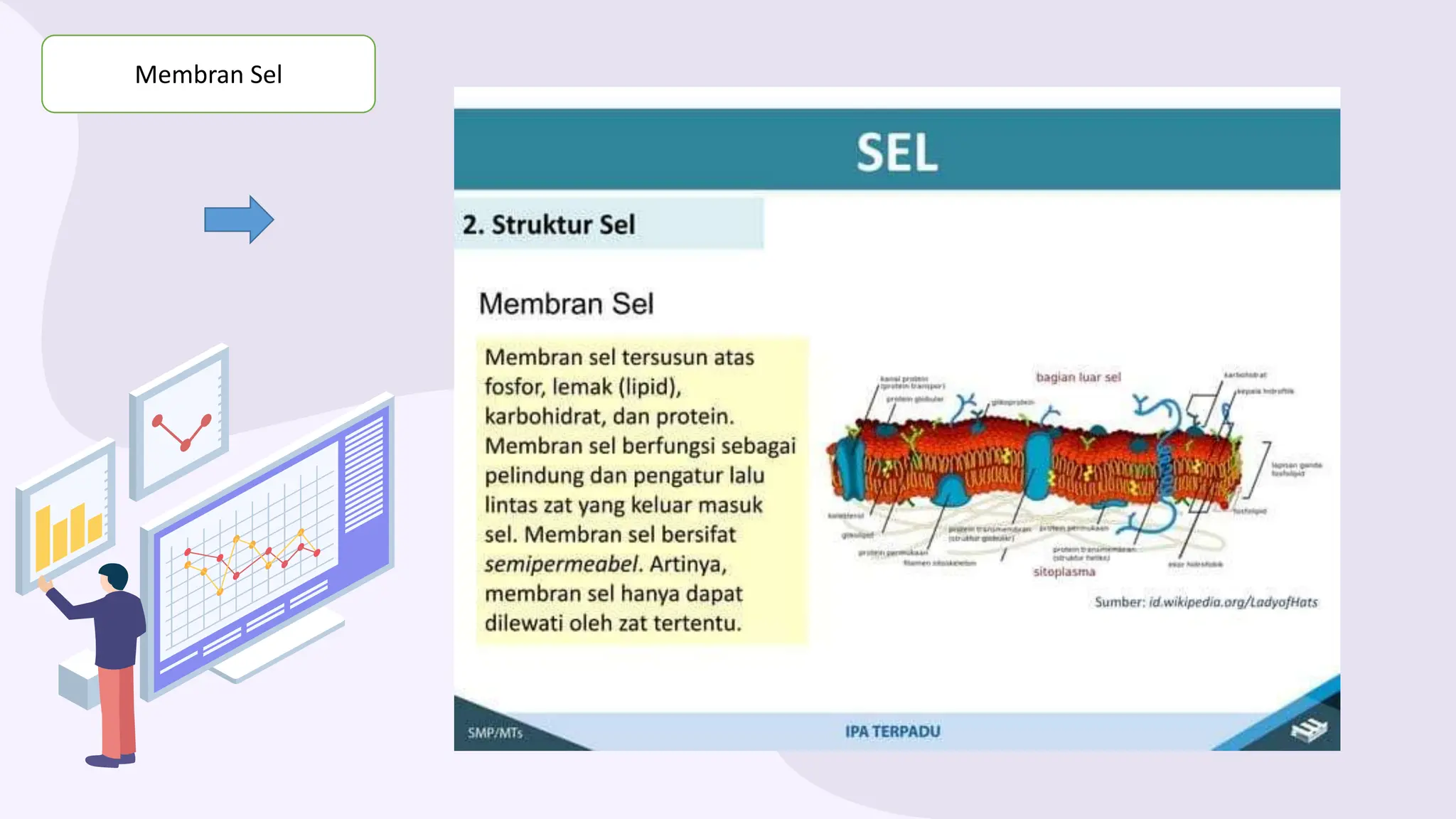 PPT SEL HEWAN DAN HEWAN TUMBUHAN SCIENCE .pptx