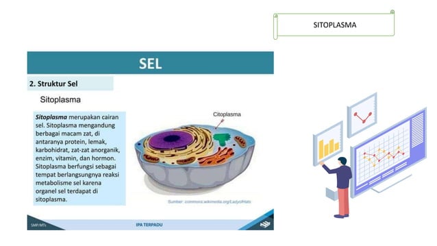 PPT SEL HEWAN DAN HEWAN TUMBUHAN SCIENCE .pptx