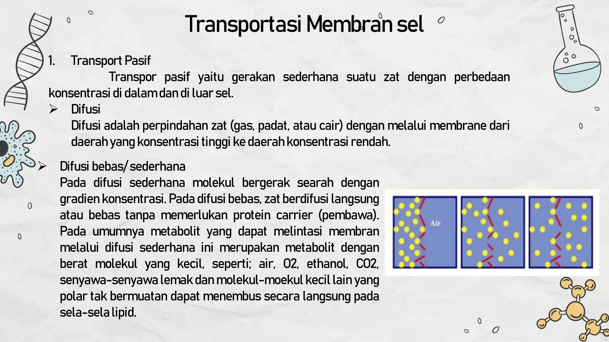 Biologi sel : 4. Selaput plasma, struktur dan transportasi membran l ...
