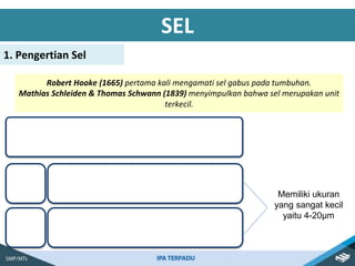 PPT SEL B.AINI.pptx