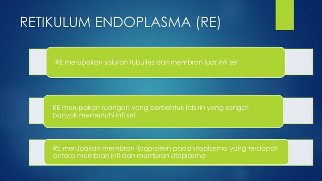PPT SEL EUKARIOTIK DETA.pdf