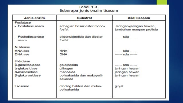 PPT SEL EUKARIOTIK DETA.pdf