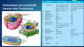 PPT SEL EUKARIOTIK DETA.pdf