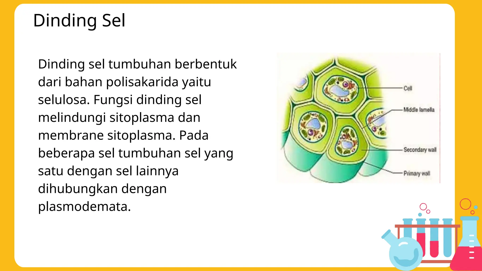 Struktur Sel hewan dan tumbuhan kelas 8 KurMer | PPTX