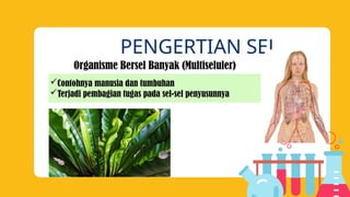 Struktur Sel hewan dan tumbuhan kelas 8 KurMer | PPTX