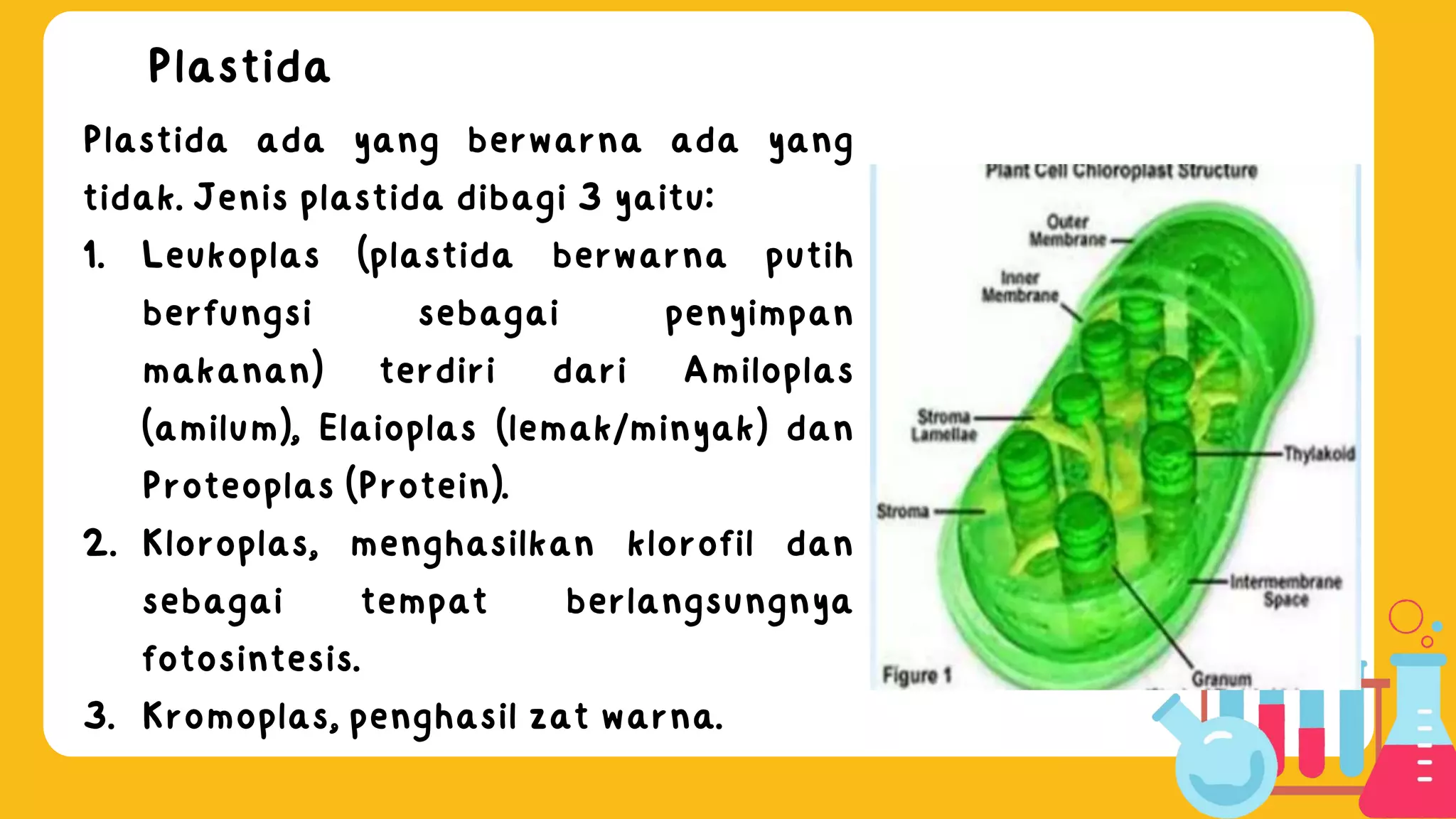 PPT SEL HEWAN DAN TUMBUHAN_KEL 2J.pptx