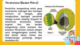 PPT SEL HEWAN DAN TUMBUHAN_KEL 2J.pptx