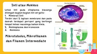 PPT SEL HEWAN DAN TUMBUHAN_KEL 2J.pptx